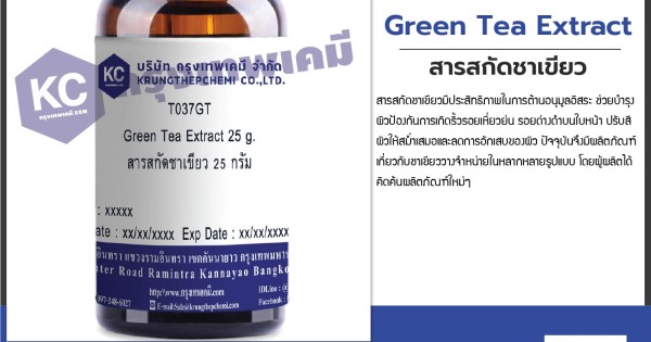 Green Tea Extract : สารสกัดชาเขียว